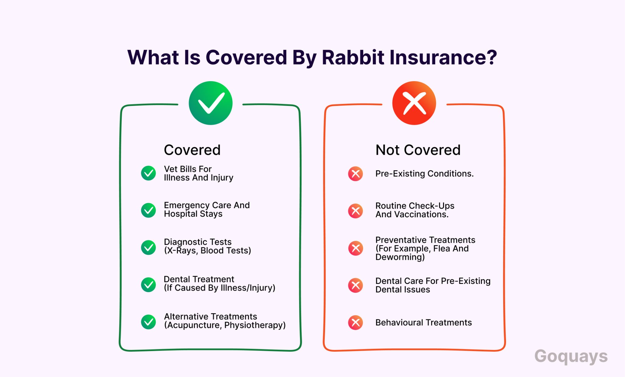 Rabbit Pet Insurance Comparison: What to Look Out for| Goquays