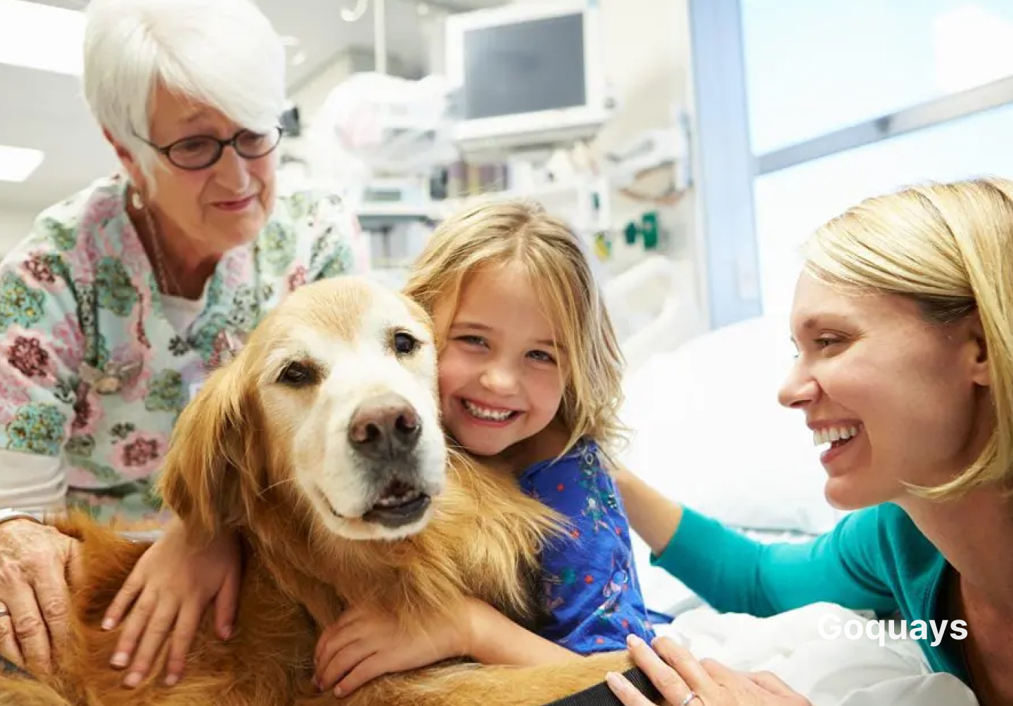 The Different Types of Working Dogs: Roles, Responsibilities, and ...