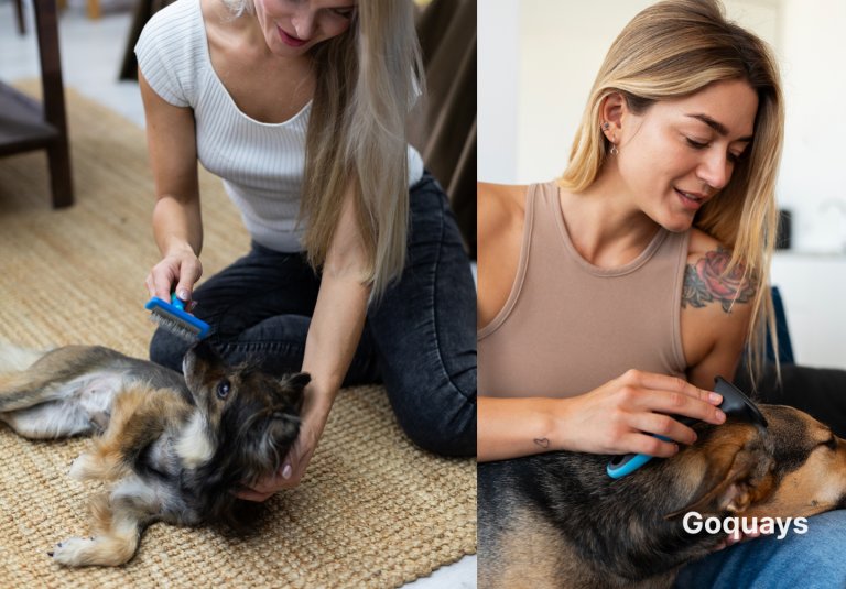 The Ultimate Guide to Dog Grooming for Beginners | Goquays