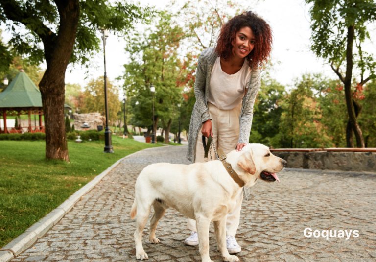 The Different Types of Working Dogs: Roles, Responsibilities, and ...