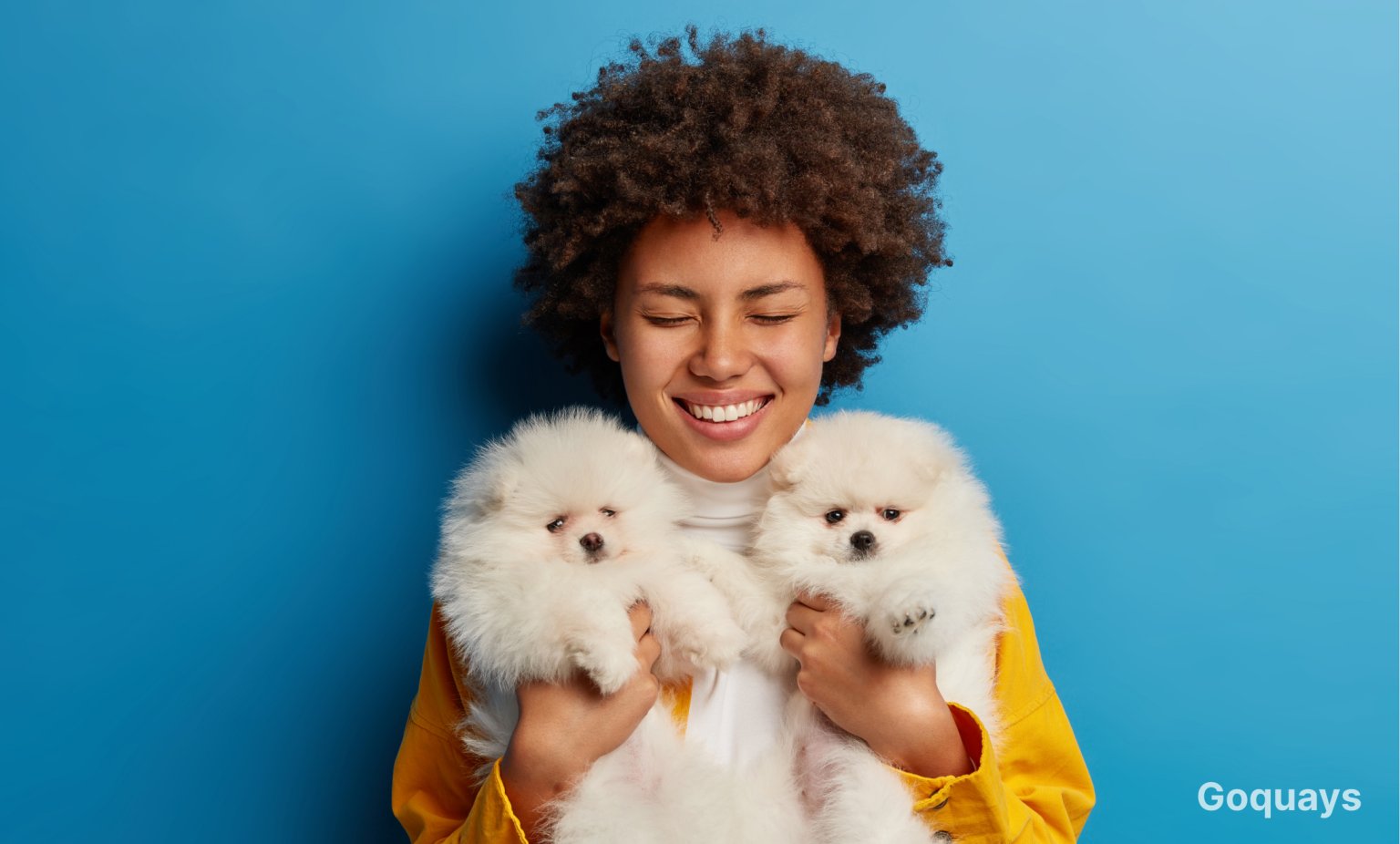 Pitfalls to Avoid When Choosing Multi Pet Insurance - Goquays