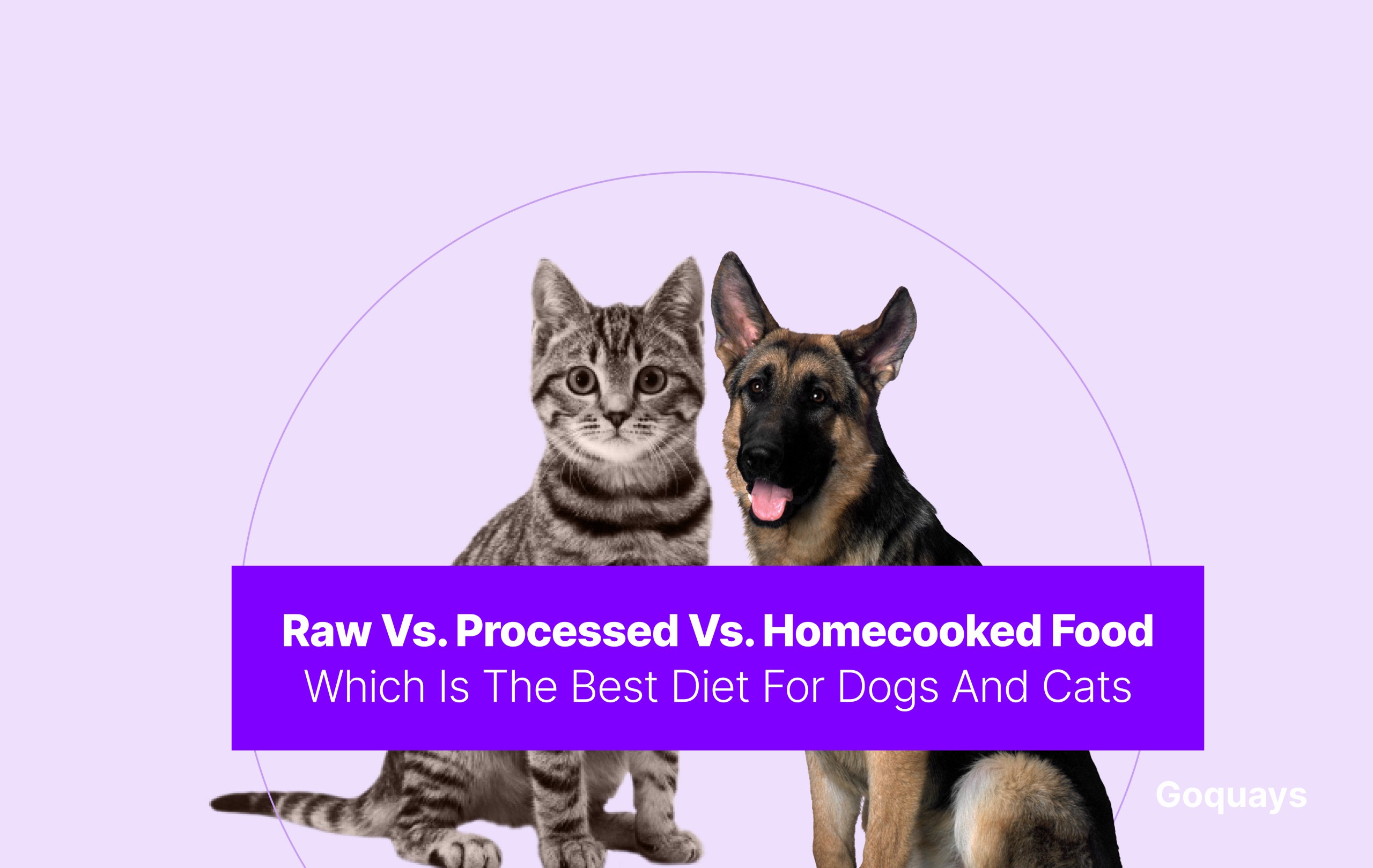 Raw vs. Processed vs. Home-Cooked: Choosing the Best Pet Diet | Goquays